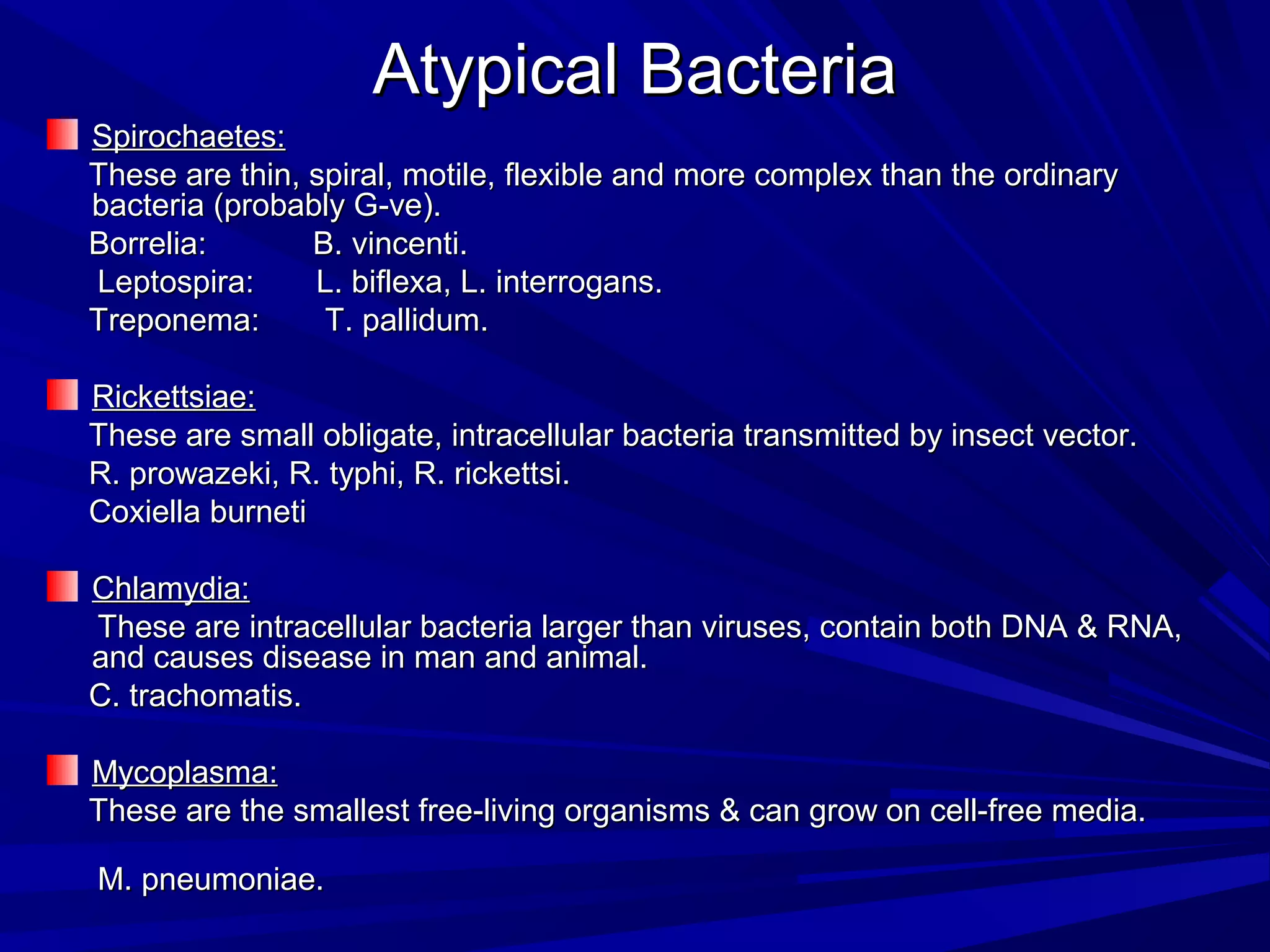 Bacteriology | PPT