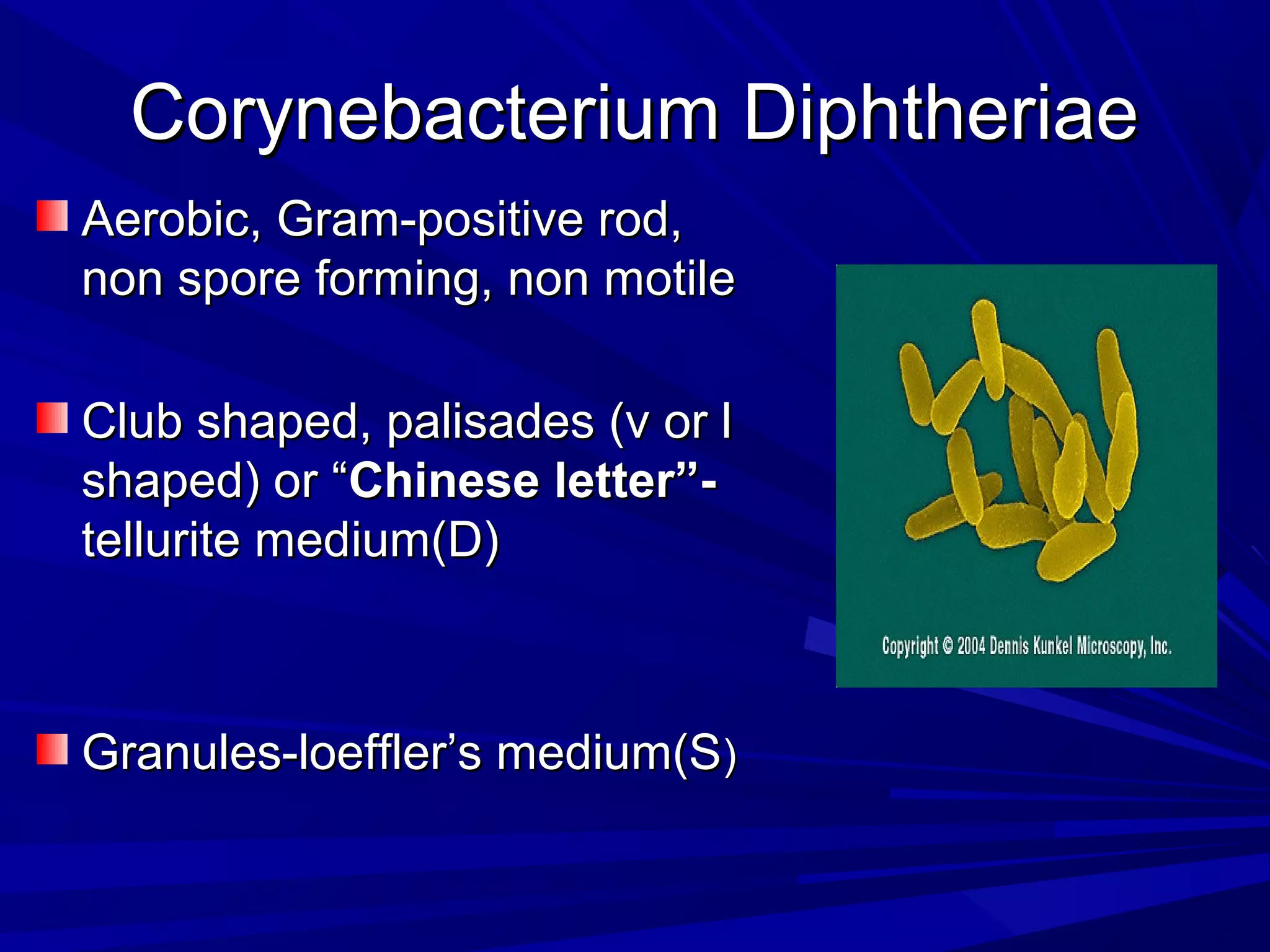 Bacteriology in ENT | PPT