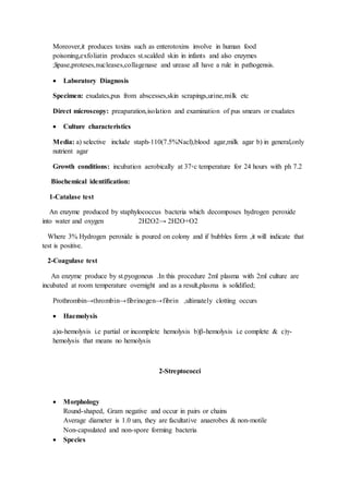 Bacteriology | DOCX | Infectious Diseases | Diseases and Conditions