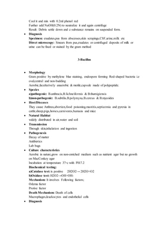 Bacteriology | DOCX | Infectious Diseases | Diseases and Conditions