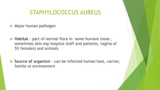 Bacteria causing Endophthalmitis | PPTX