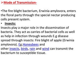 Bacteriology | PPTX