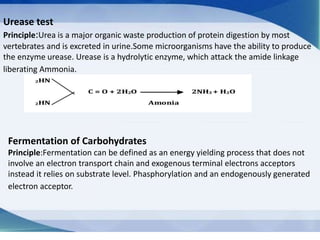 Bacteriology | PPT