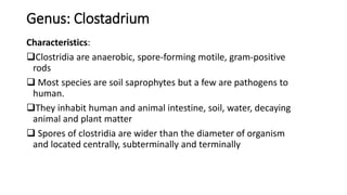 medical bacteriology | PPTX
