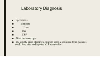 Medical Bacteriology - Klebsilla pneumoniae | PDF