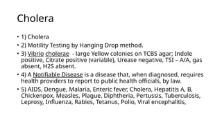 Bacteriology related to mbbs microbiology | PPT
