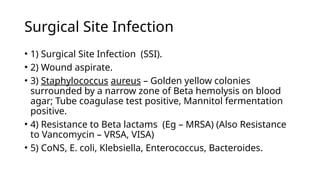 Bacteriology related to mbbs microbiology | PPT