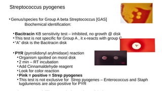 Bacteriology, classification and morphology.pptx