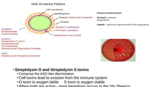 Bacteriology, classification and morphology.pptx