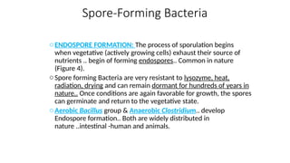 Bacteriology knowing the bacterial cell.pptx