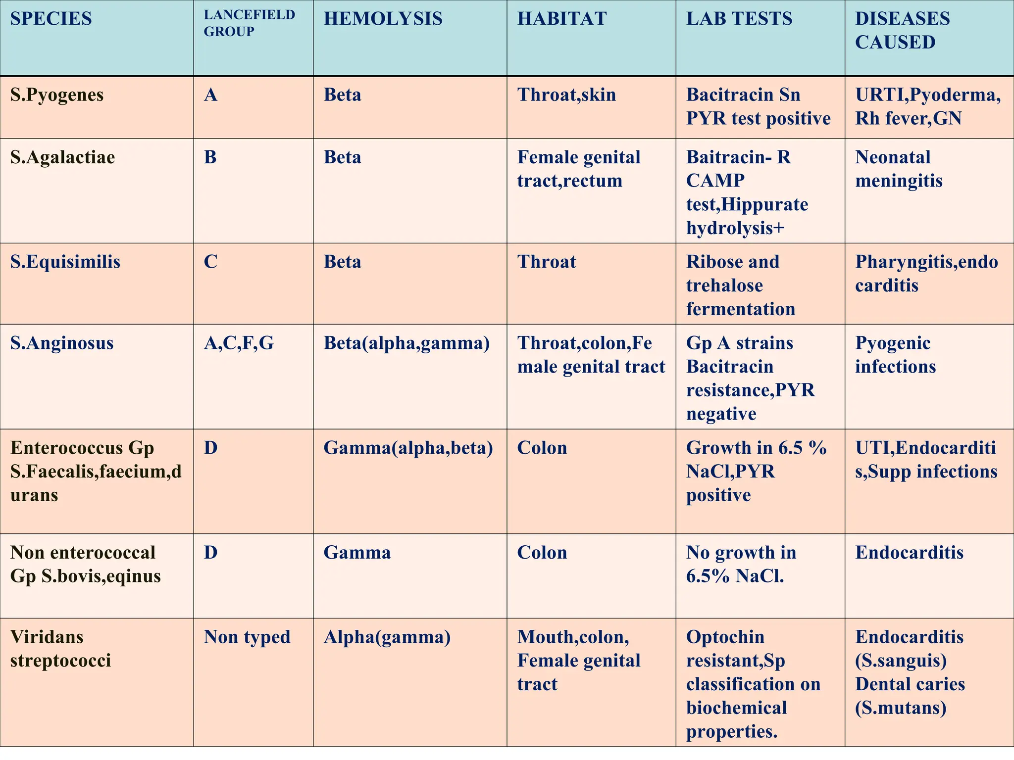 Bacteriology.ppt mircobiology and pathology | PPT