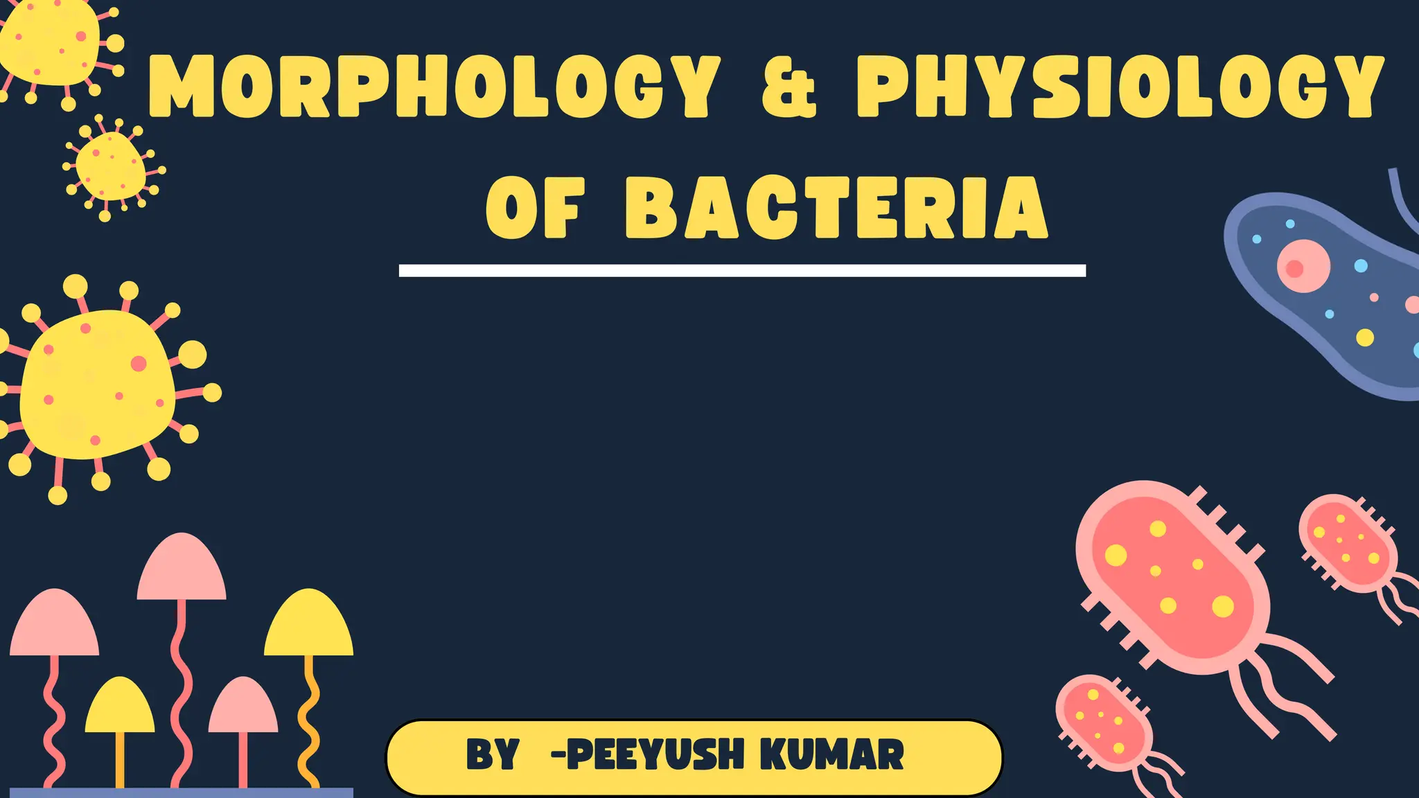 Bacteriology .pdf microbiology bacteria bacteriology | PDF