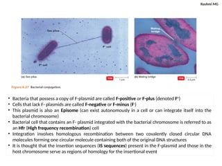 Bacteriology(structure, genome, genetic recombination, reproduction ...