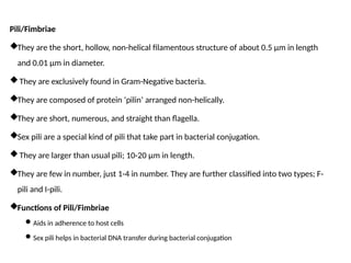 General Bacteriology with bacterial reproduction | PPTX