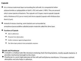 General Bacteriology with bacterial reproduction | PPT