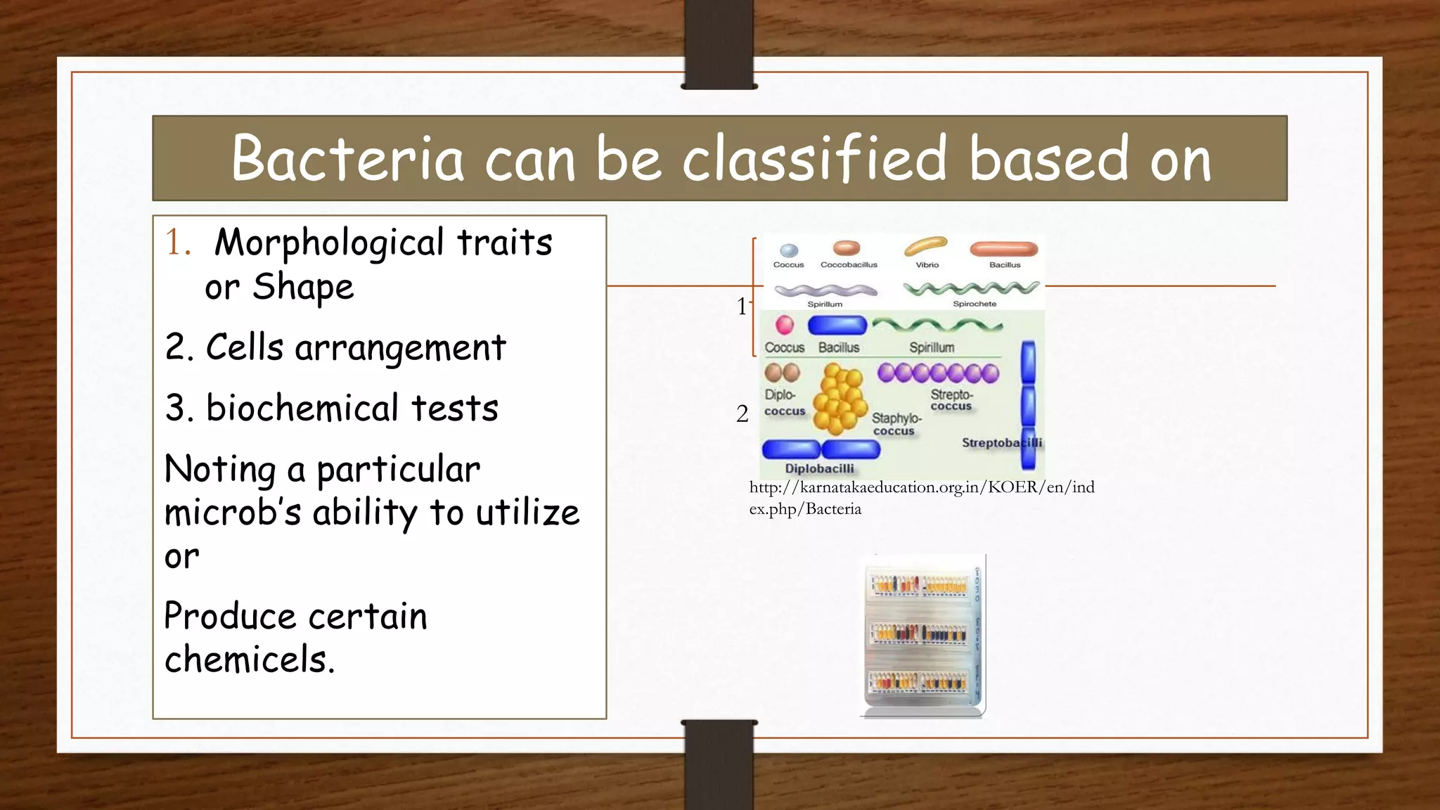 Introduction to Bacteriology | PDF