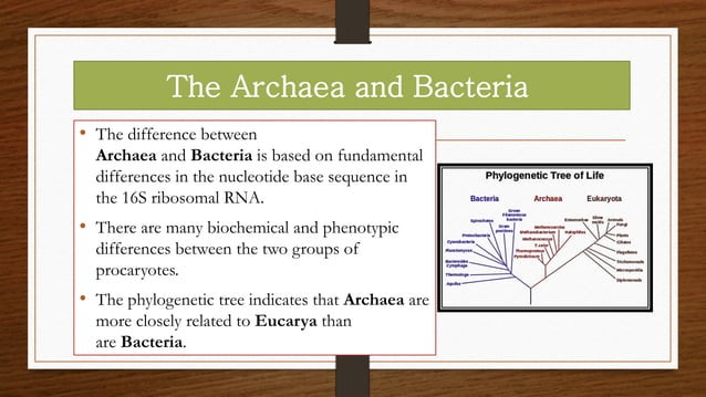 Introduction to Bacteriology | PDF