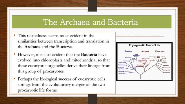 Introduction to Bacteriology | PDF