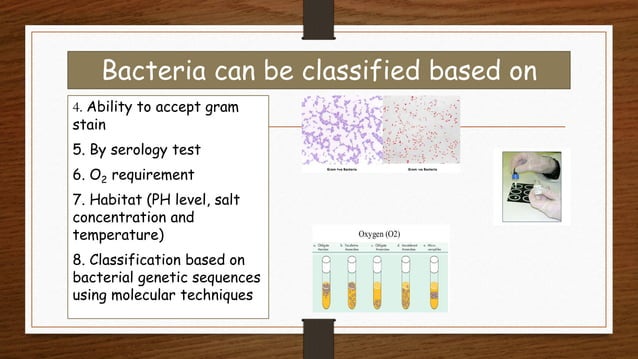 Introduction to Bacteriology | PDF