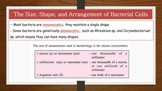 Introduction to Bacteriology | PDF
