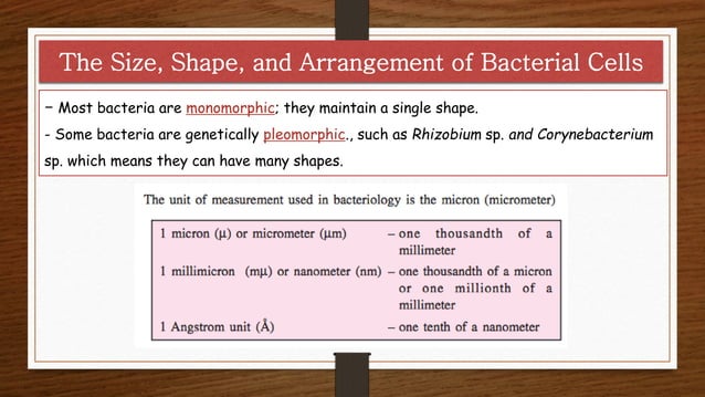 Introduction to Bacteriology | PDF