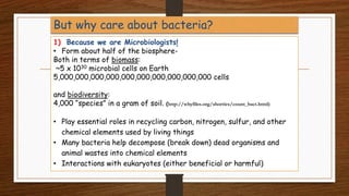 Introduction to Bacteriology | PDF