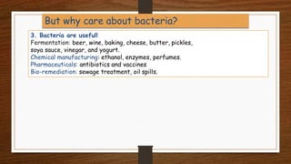 Introduction to Bacteriology | PDF