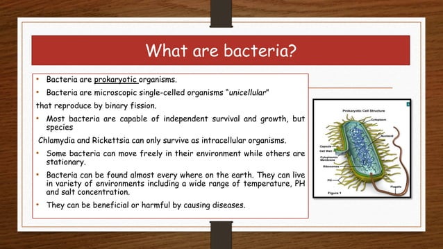 Introduction to Bacteriology | PDF