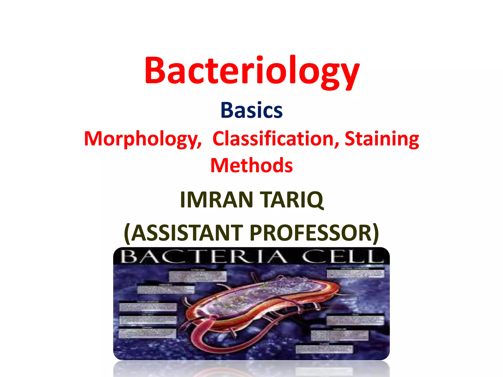 bacteriology (1).pptx
