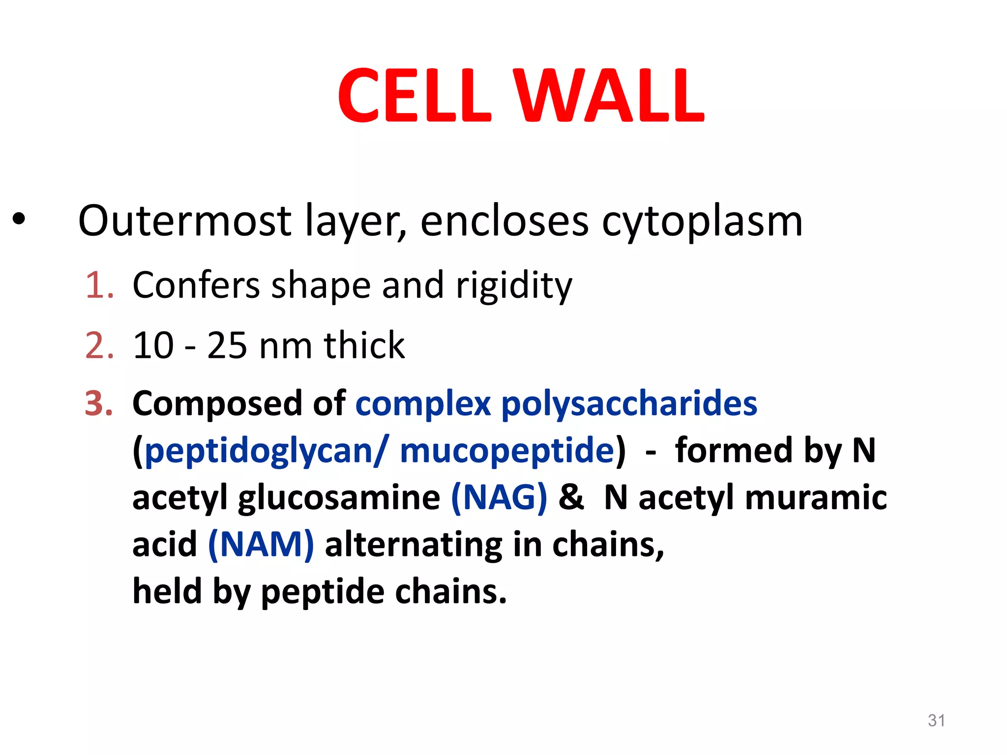 bacteriology (1).pptx
