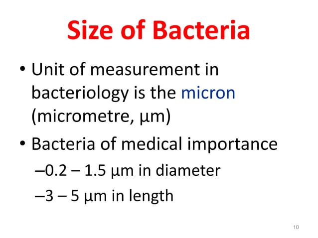 bacteriology (1).pptx