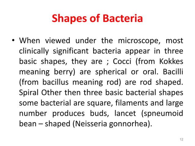 bacteriology (1).pptx