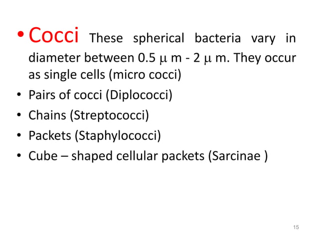 bacteriology (1).pptx