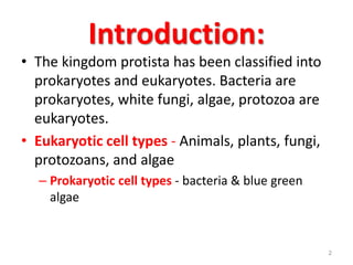 bacteriology (1).pptx