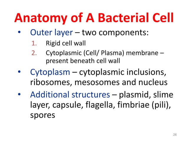 bacteriology (1).pptx