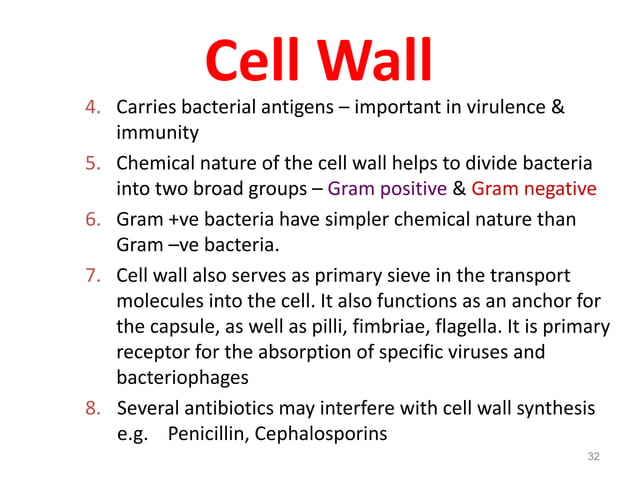 bacteriology (1).pptx