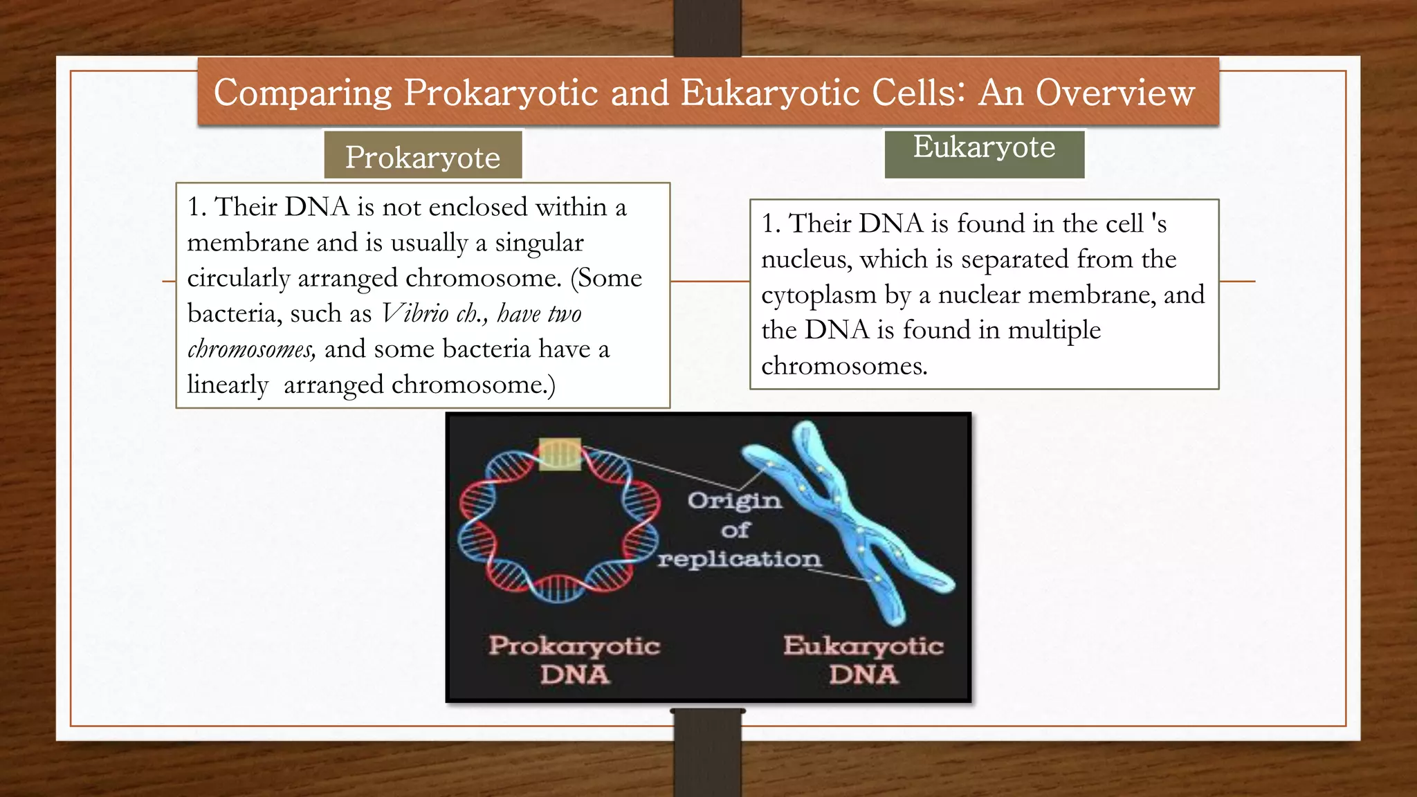 Bacteriology Anatomy of Prokaryotic | PPT