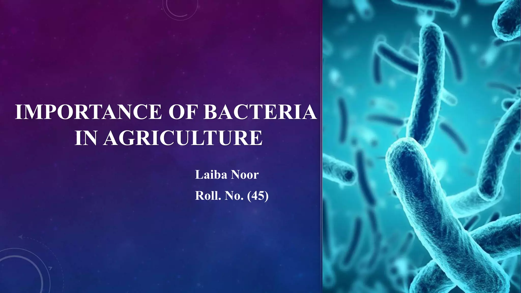 Importance of bacteria in Agriculture | PPTX