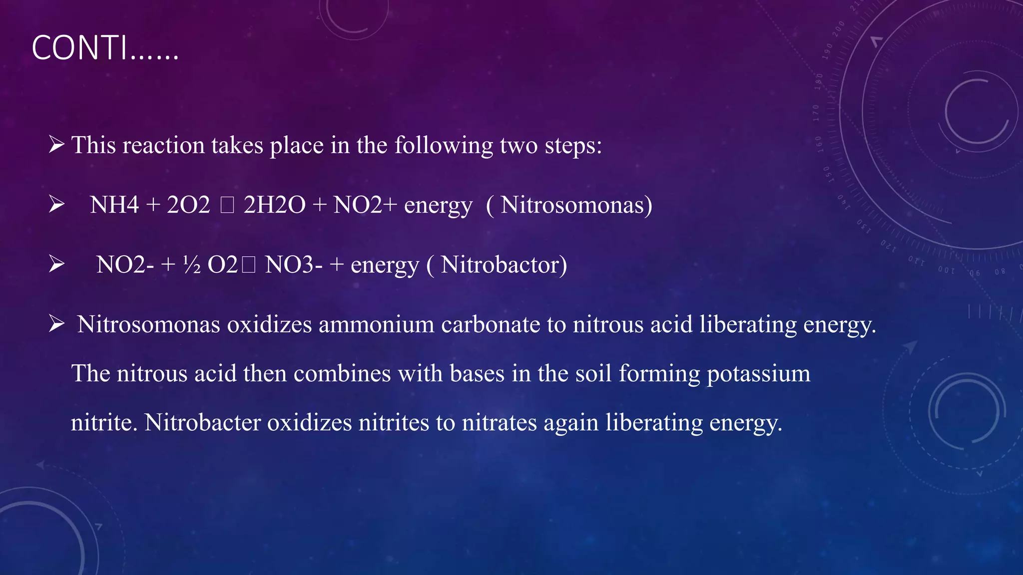 Importance of bacteria in Agriculture | PPTX