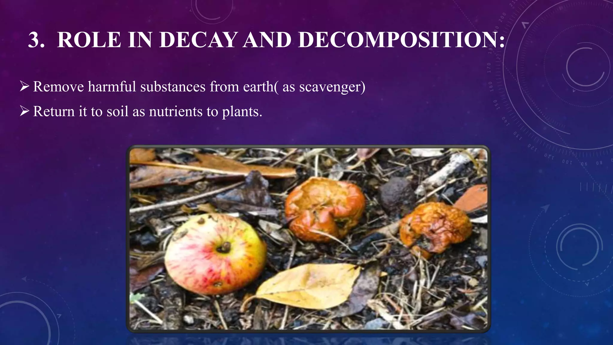 Importance of bacteria in Agriculture | PPTX