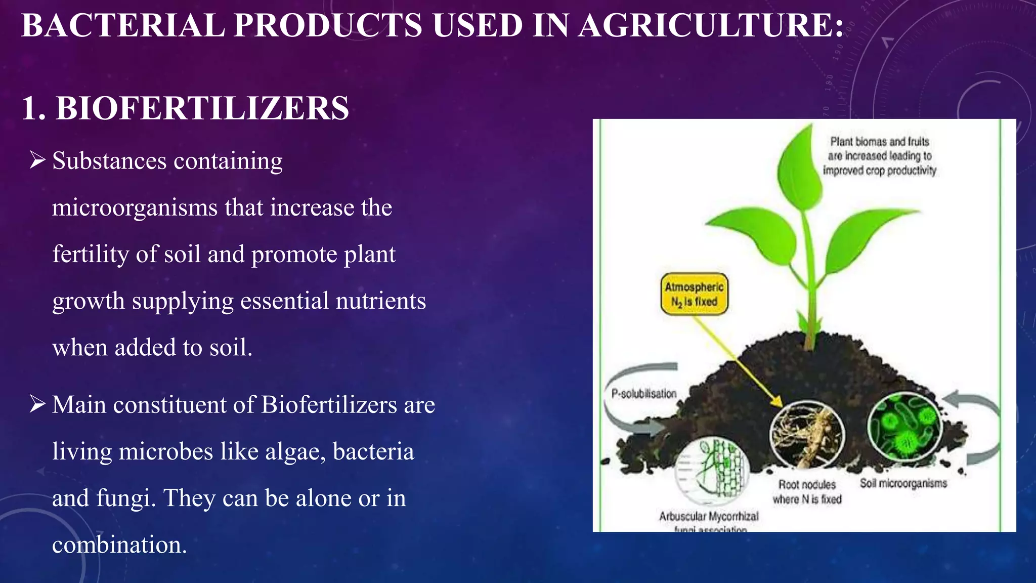 Importance of bacteria in Agriculture | PPTX