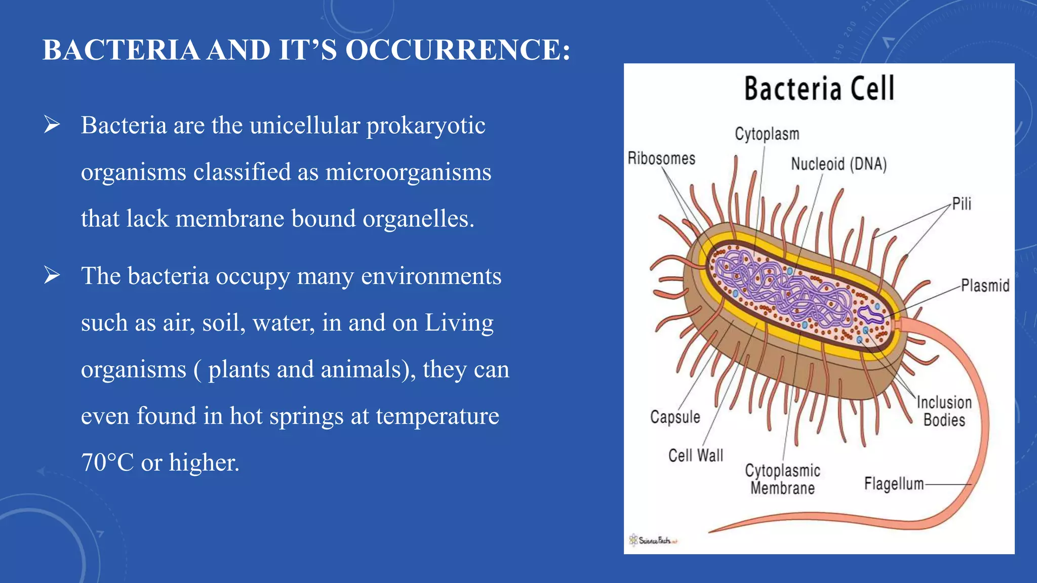 Importance of bacteria in Agriculture | PPTX