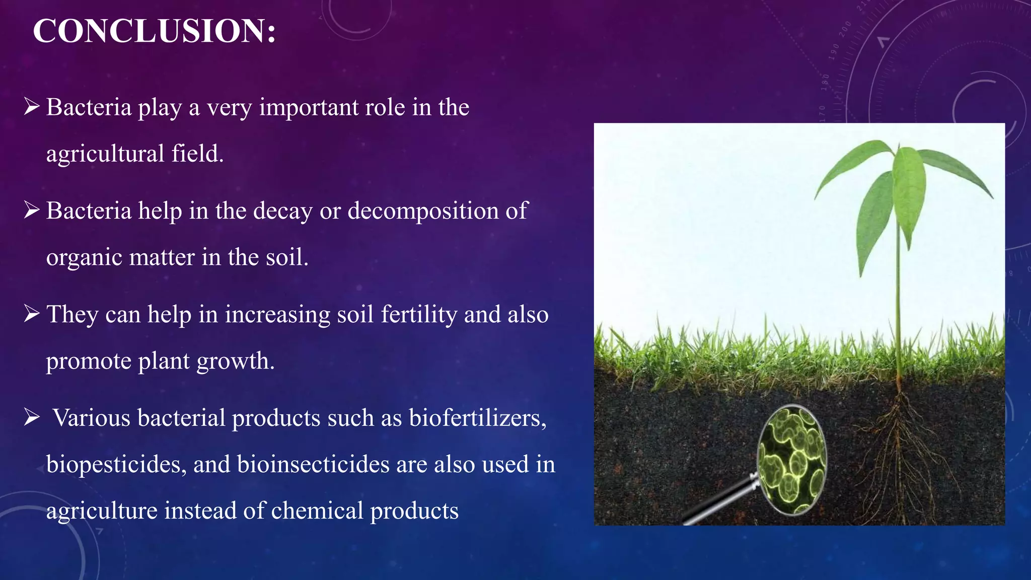 Importance of bacteria in Agriculture | PPTX