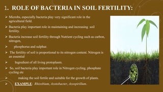 Importance of bacteria in Agriculture | PPTX