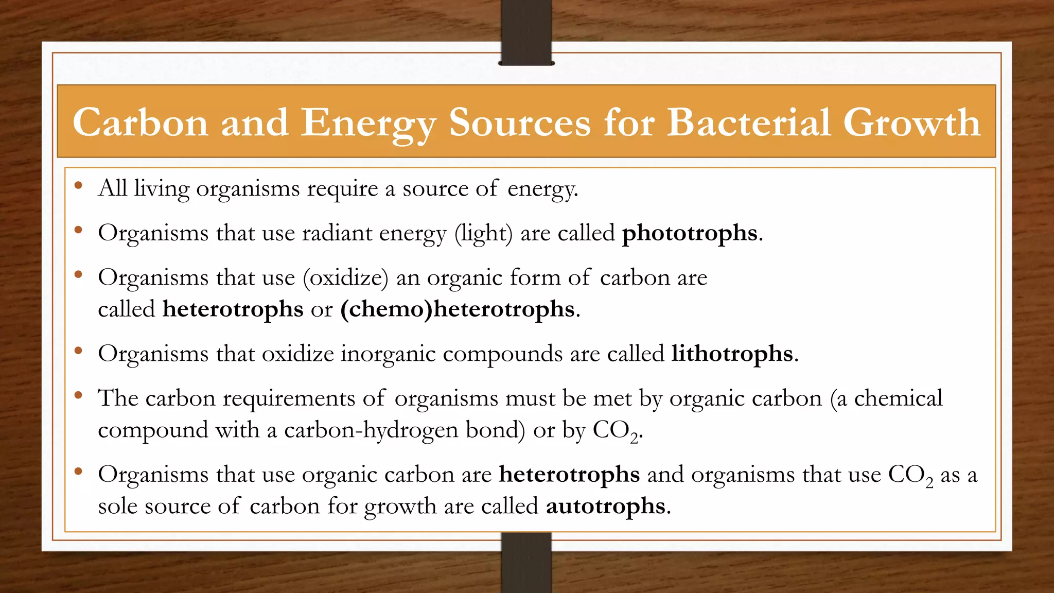 Bacteriology 5, Bacterial spore | PDF