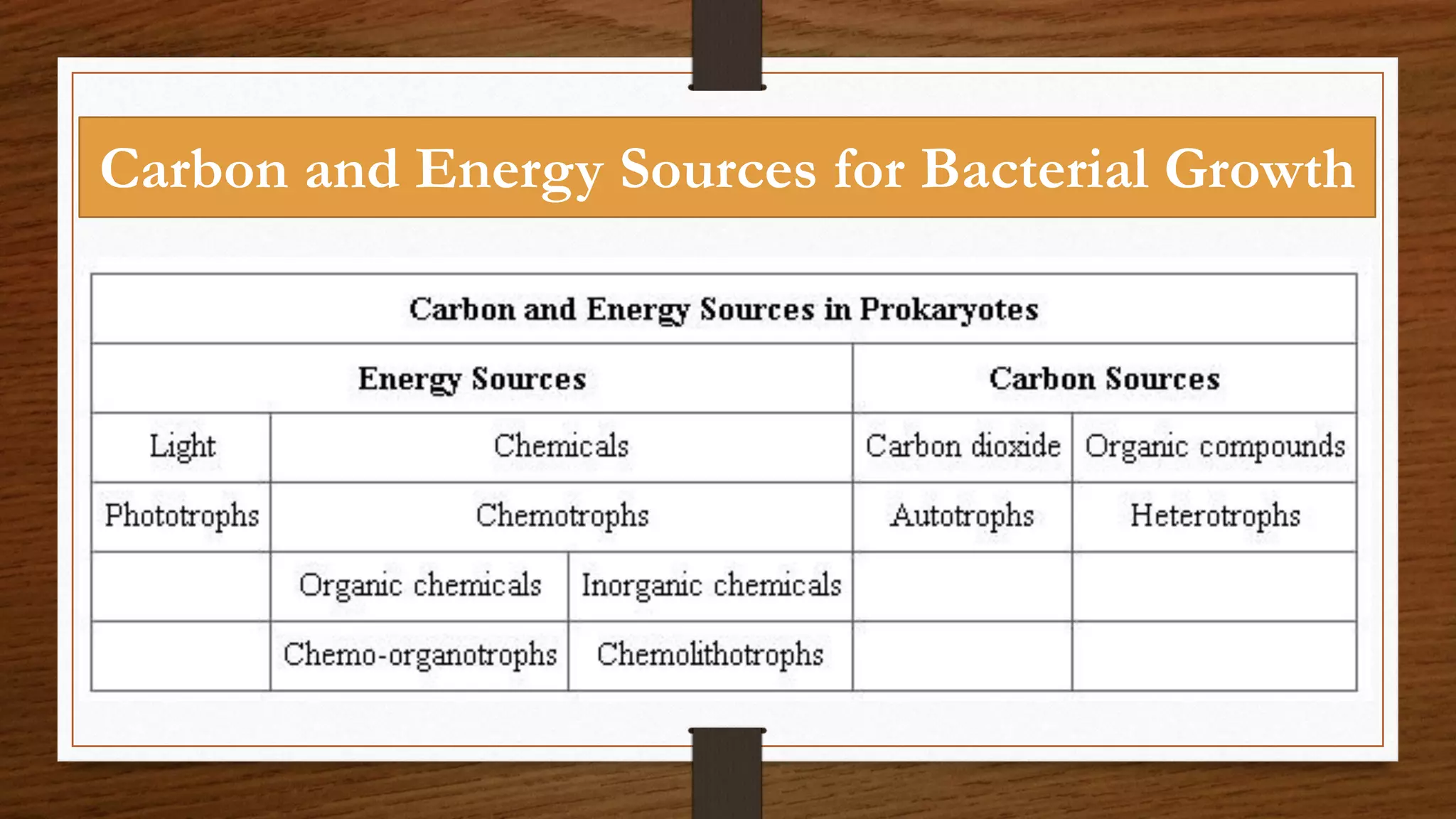 Bacteriology 5, Bacterial spore | PDF