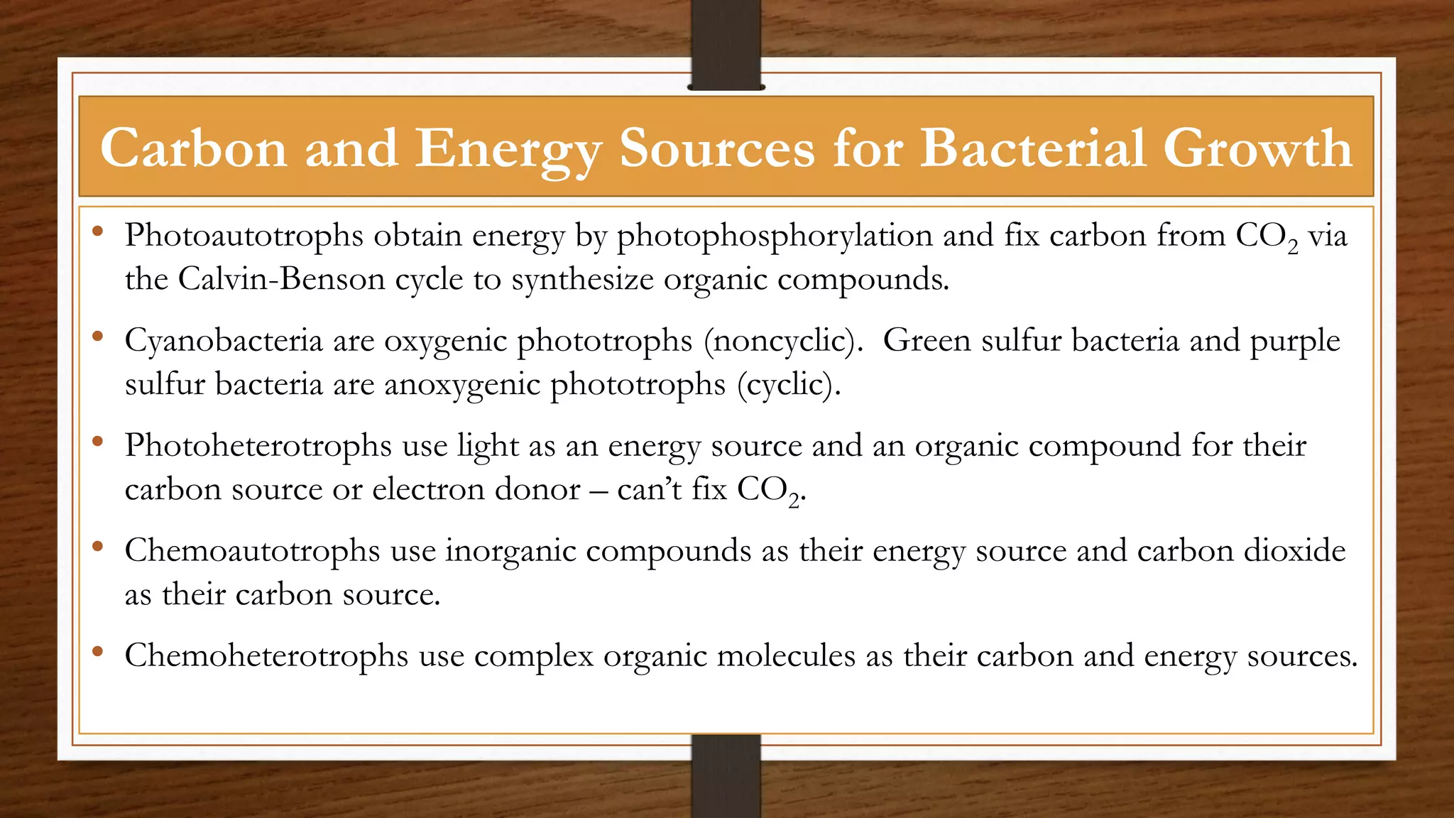 Bacteriology 5, Bacterial spore | PDF