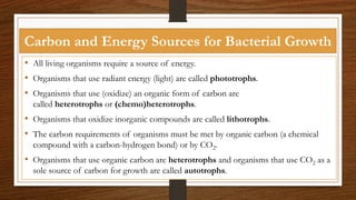 Bacteriology 5, Bacterial spore | PDF