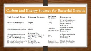 Bacteriology 5, Bacterial spore | PDF