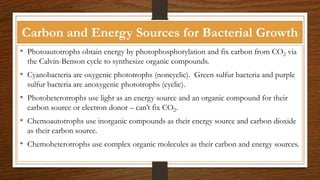 Bacteriology 5, Bacterial spore | PDF
